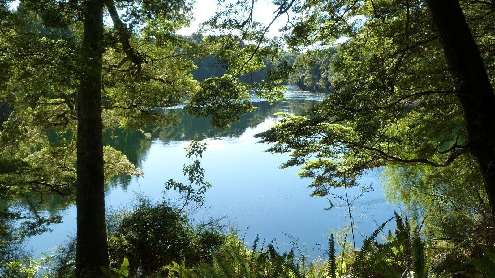 Petition · Environment Southland: WITHDRAW RESOURCE CONSENT for an ...