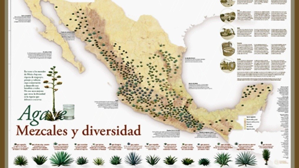 Petition · Please translate and print an authorized version of the map ...