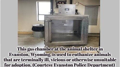 Petition · Demand That Wyoming Dismantle The Last Gas Chamber (The Only ...