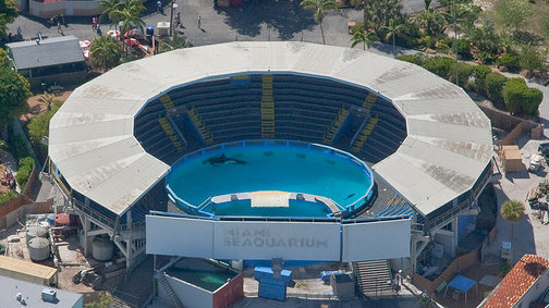Petition · Miami Seaworld - United States · Change.org