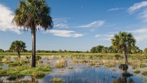 Petition · Enforce Stricter Environmental Regulations for New ...