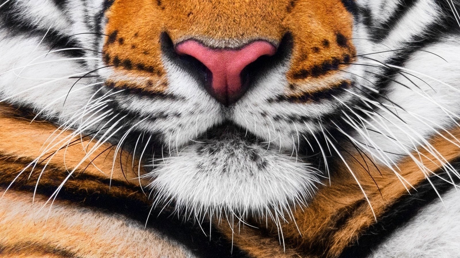 Petition · YouTube COPPA - United States · Change.org