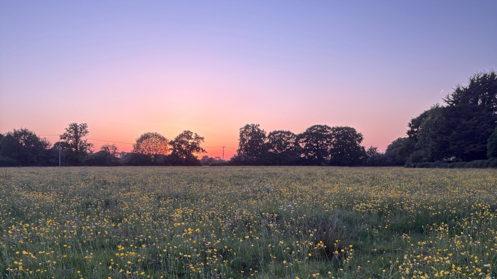 Petition · No new houses in fields around Ashen Copse, Wroughton ...