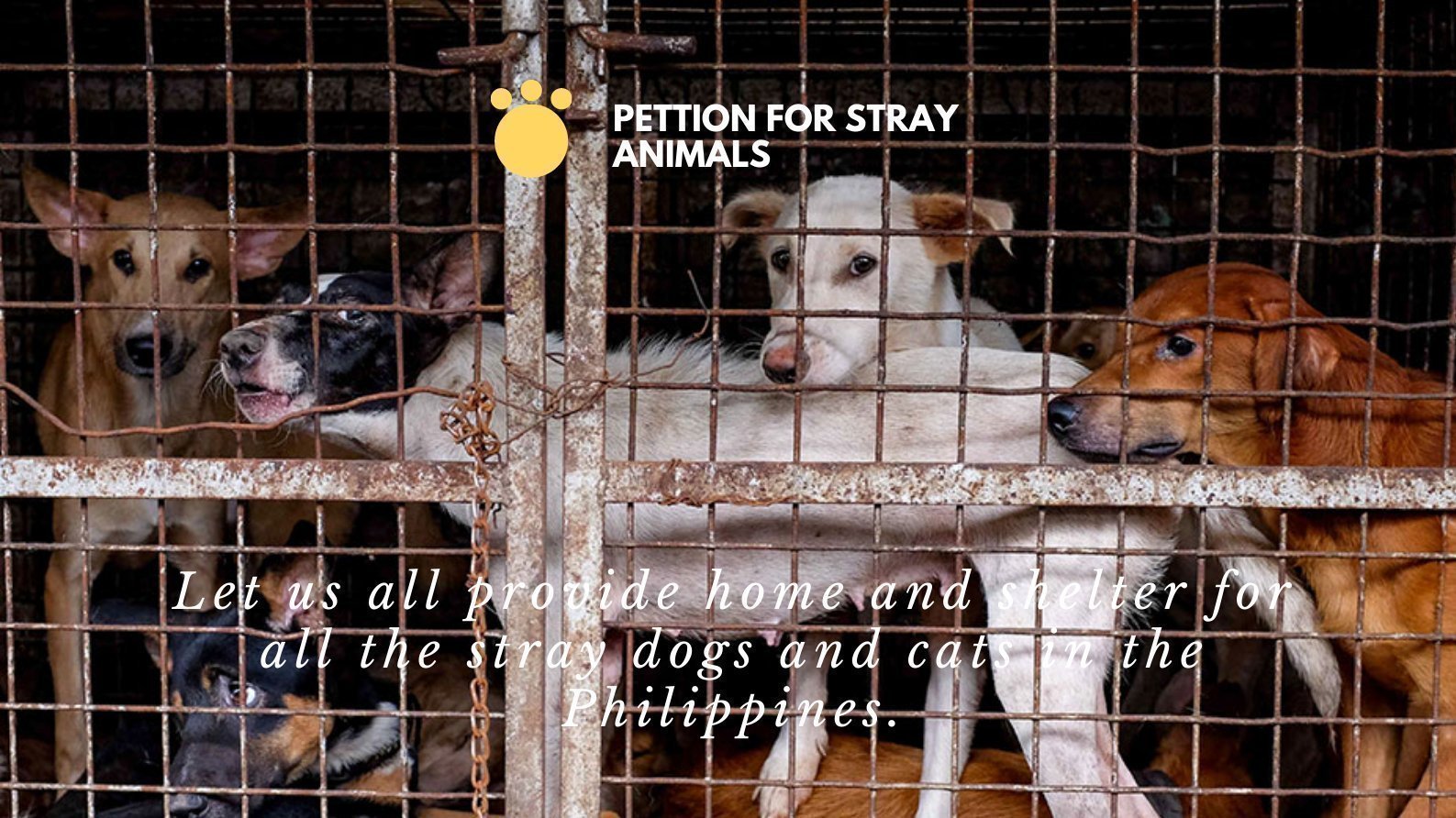 Petition · Provide a lovely home and shelter for every stray dog and ...
