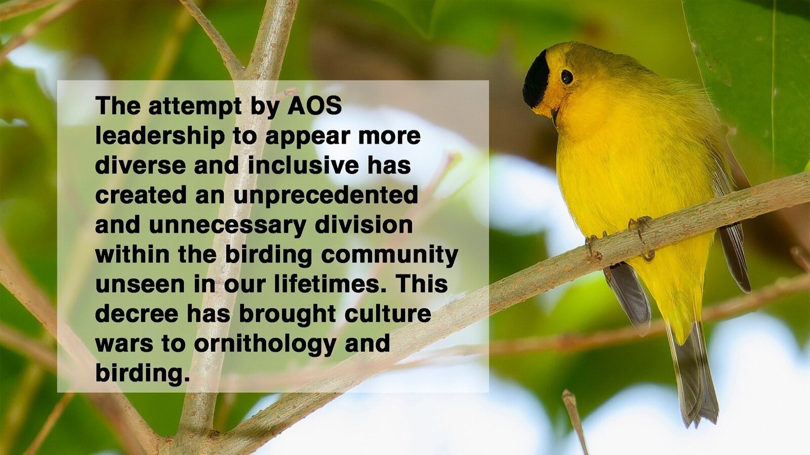 Petition update · An Open Letter to the AOS by David Ascanio · Change ...