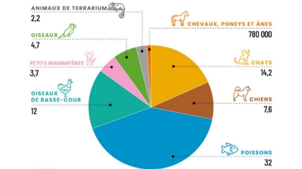 Pétition · PETITION POUR UNE TVA A 5,5% AU LIEU DE 20% POUR L ...