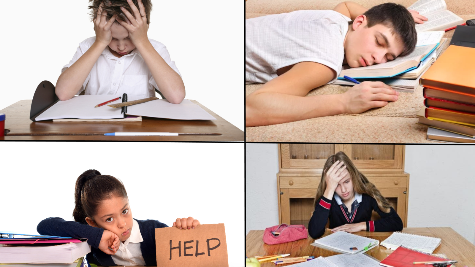 Petition · Lessen Amount of NFMS Homework - United States · Change.org