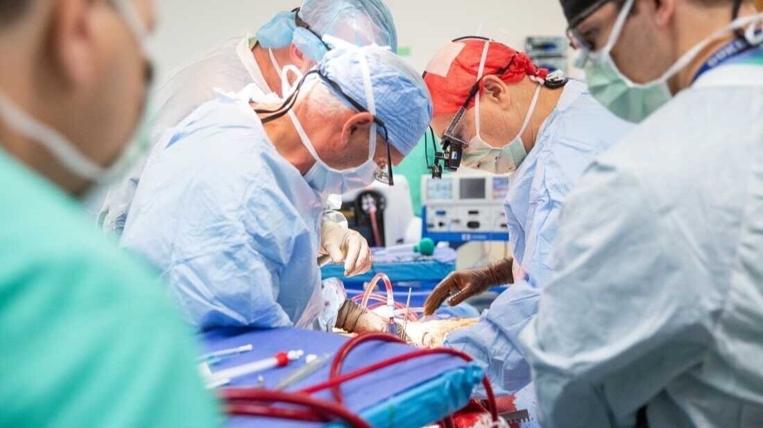 Petition · Stop Hidden Skips in Organ Transplants — We Deserve ...