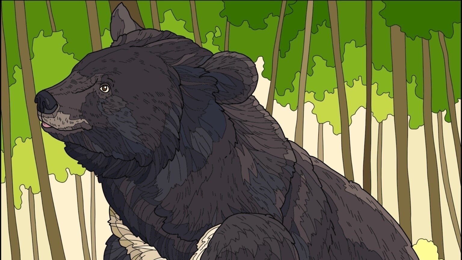 Petition · Justice for bear cubs shot in Ottawa and area - Canada ...