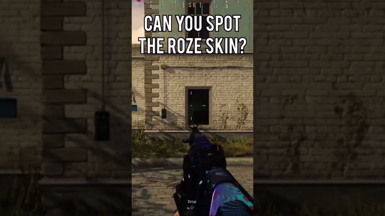 Petition · Remove the Roze Rook and Near Dark Skins From COD Warzone ...