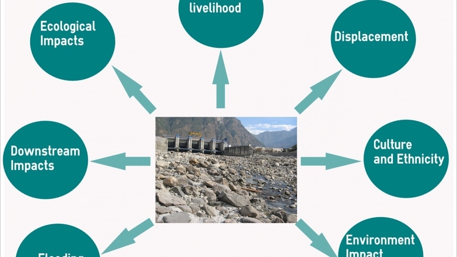 Petition · Not to clear The Unsustainable and anti ecological ...