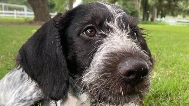 Petition · Demand Governor Kristi Noem's Resignation for the Unjust ...