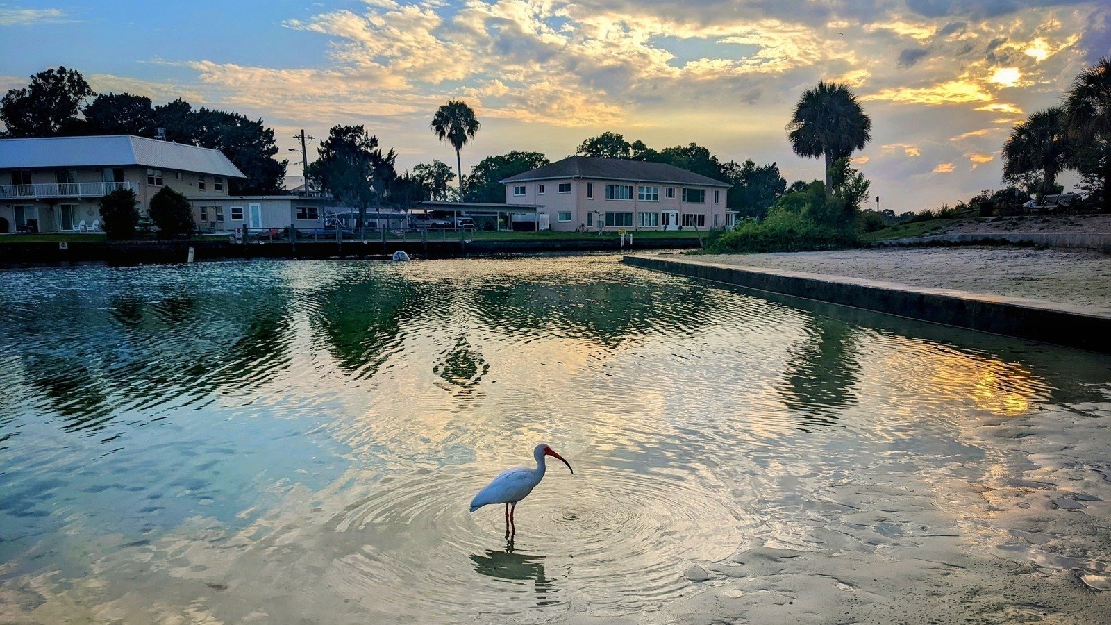 Petition · Restore the Hunter Springs Park hours to 8:00-sunset ...