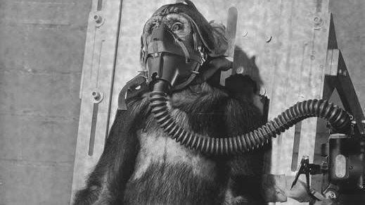 Petition · Making Animal Testing Extinct - United States · Change.org