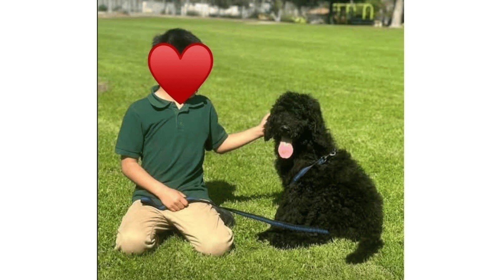 Petition · Demand Justice for Oreo and Hold California Doodle Rescue ...