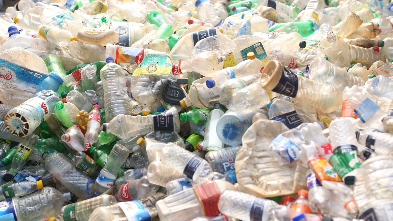 Petition · Stop using single use plastic - United Kingdom · Change.org