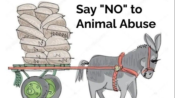 Petition · Animal Lives Matter - Pakistan · Change.org