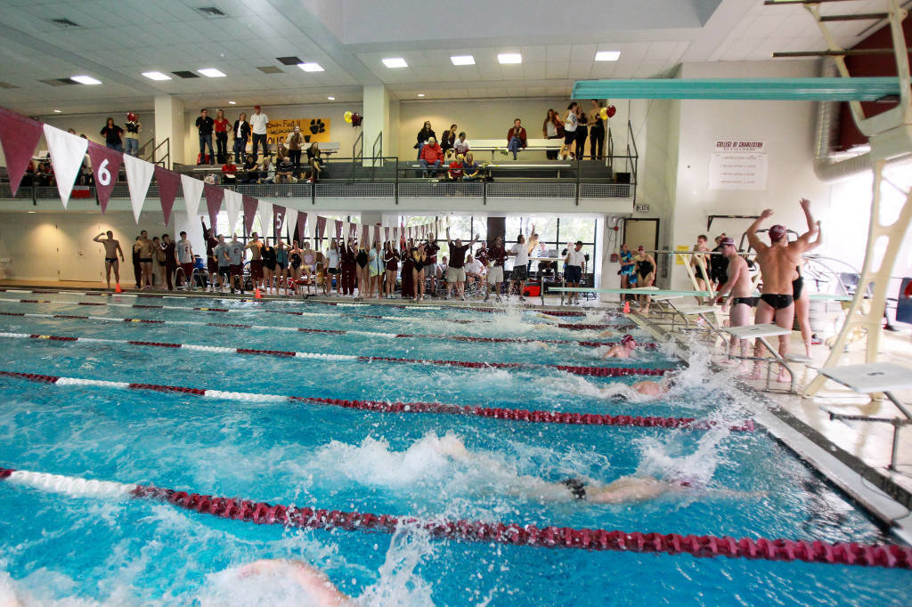 Petition · Reevaluate the disbandment of the Men's and Women's Swimming ...