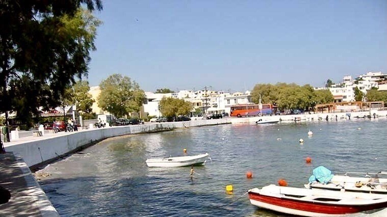 Petition · Save the trees in Souvala Port (Aegina) | Σώστε τα δένδρα ...