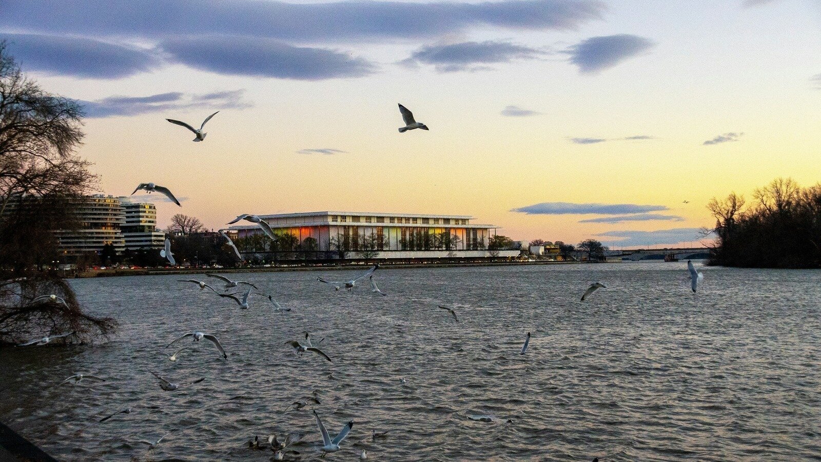 Petition · Keep the Kennedy Center Nonpartisan and Open to the Public’s ...