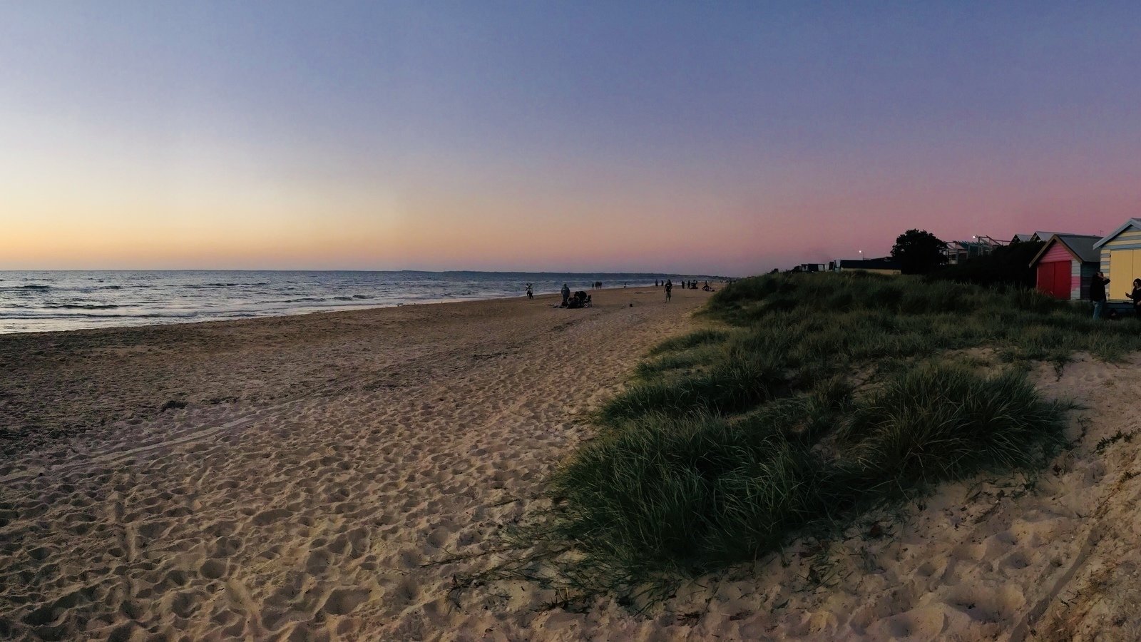 Petition · Objection to proposed 24 Hour Off Leash Dog area - Edithvale ...