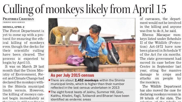 Petition · STOP mass culling of Monkeys in Shimla region - Sukanya ...