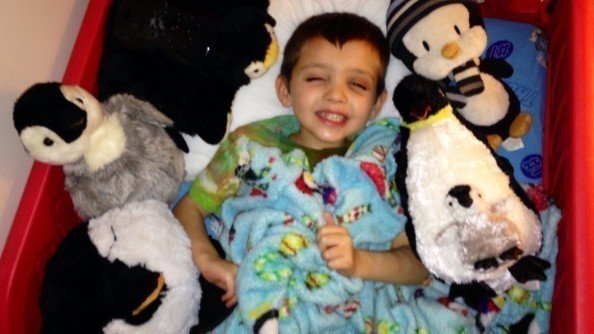 Petition · Designate July 30th as Loving Levi Day - Honor Levi Pearson ...