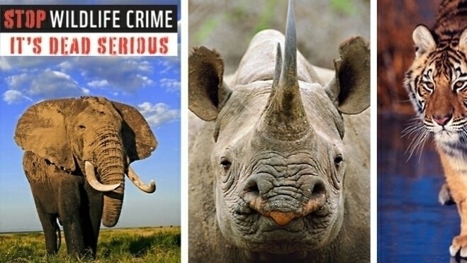 Petition · HUNTING BAN WORLDWIDE - Österreich · Change.org