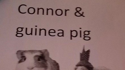 Petición · Get Connor Lehman a Guinea Pig! - Colombia · Change.org