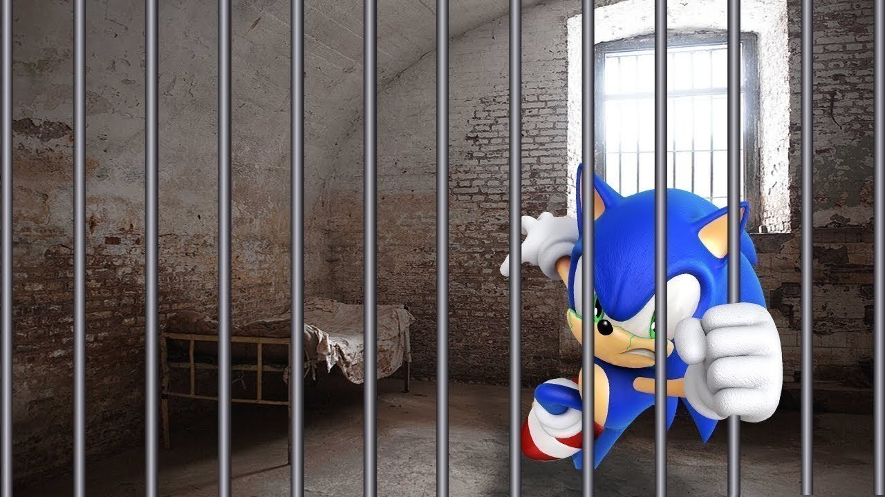 Petition · Free Sonic the Hedgehog From Prison Island - United States ...