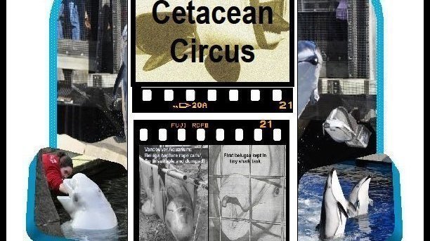 Petition update · Captivity IS NOT Over! · Change.org · Change.org