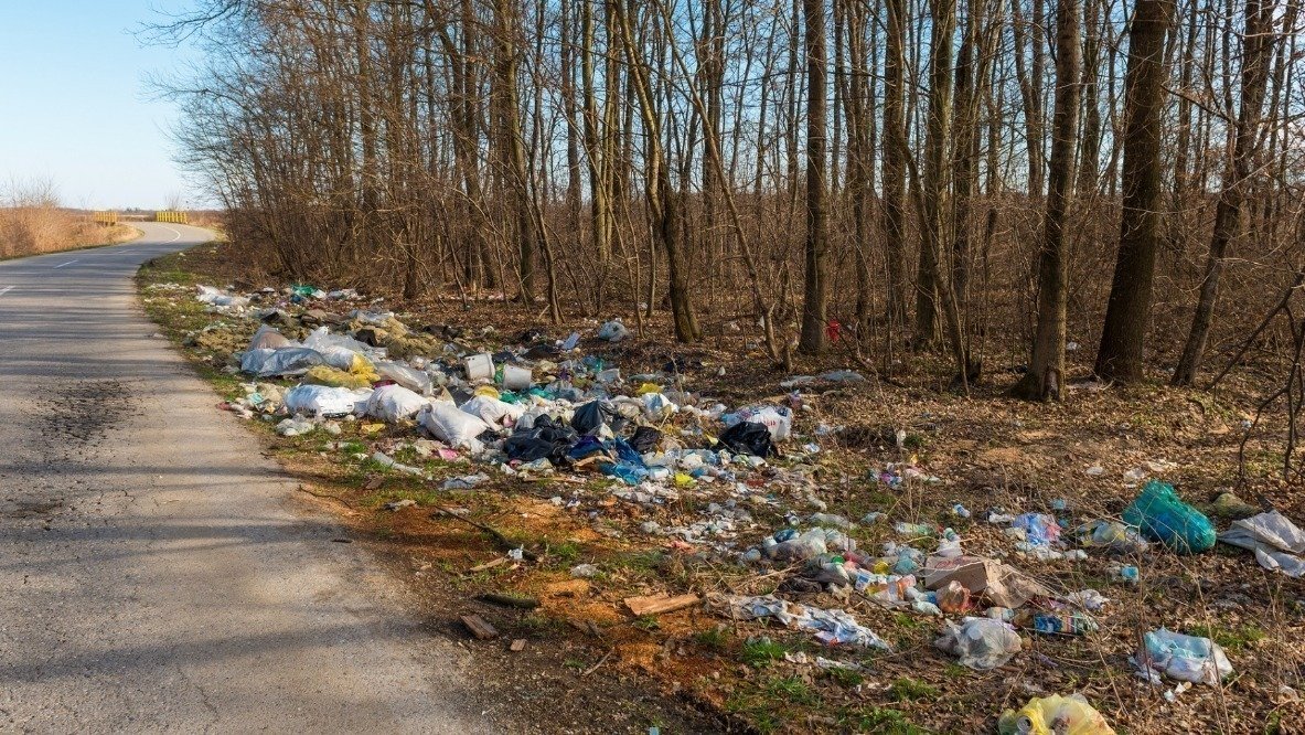 Petition · Install litter enforcement cameras and warning signs in ...