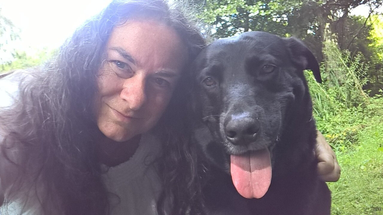 Petition update · New petition for Pause Dog Breeding Until All Rescue ...