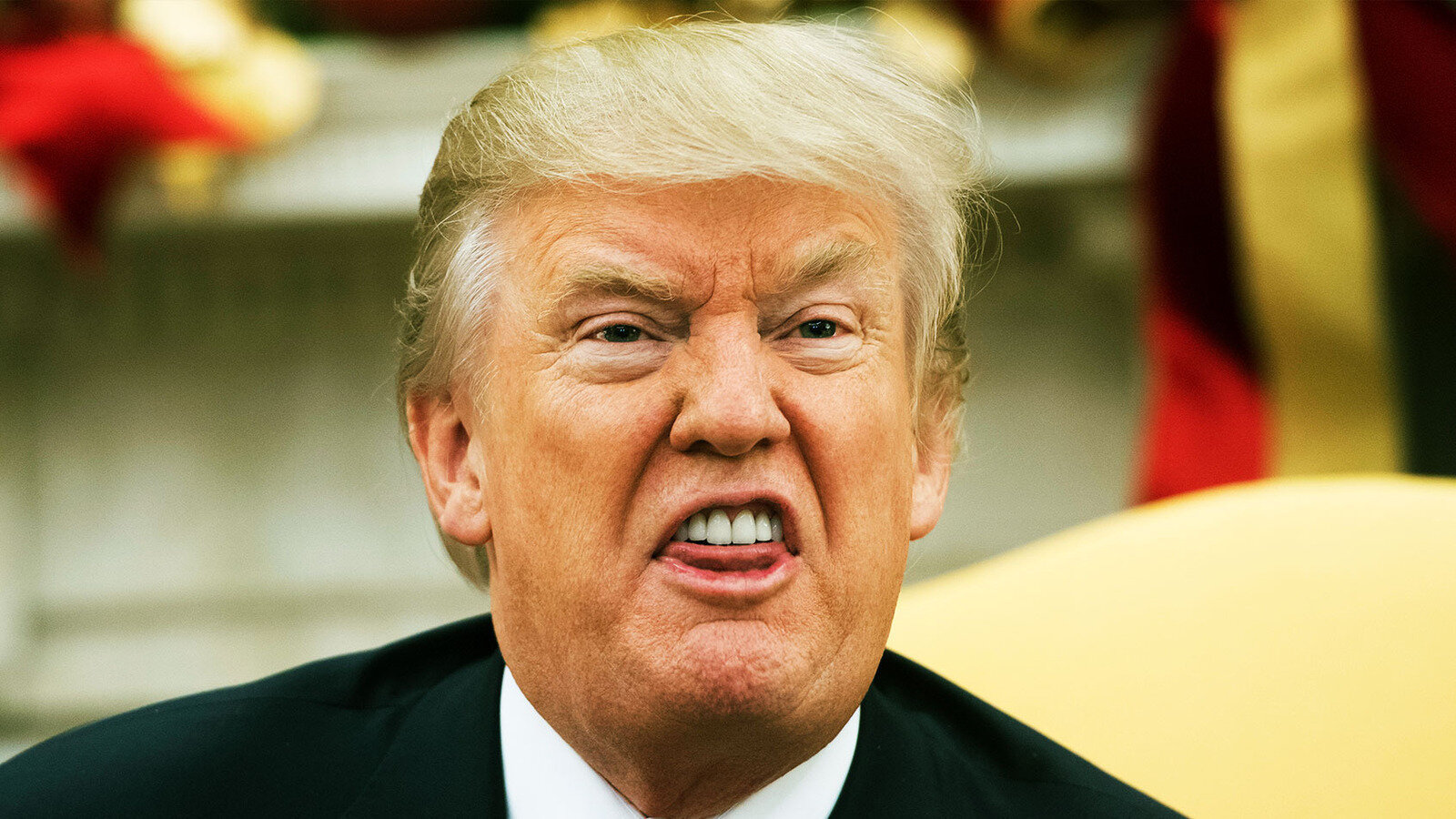 Petition · Halt Excessive Spending on Trump's Military-Style Birthday ...