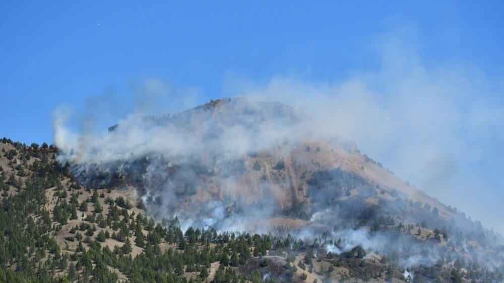 Petition · Send federal emergency support to Oregon’s wildfire crews ...