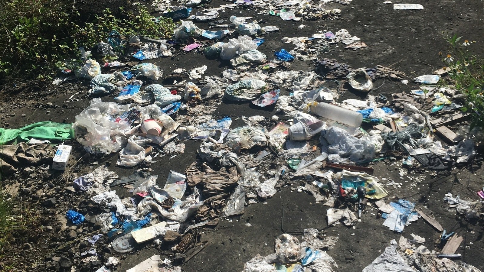 Petition · Persuade People In Right Disintegration of Waste ...