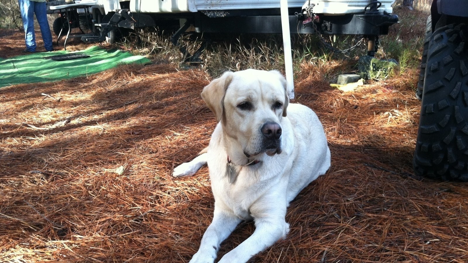 Petition · Stop the SGC HOA Board Park, Poop, Pee, Pollute & Bark Park ...