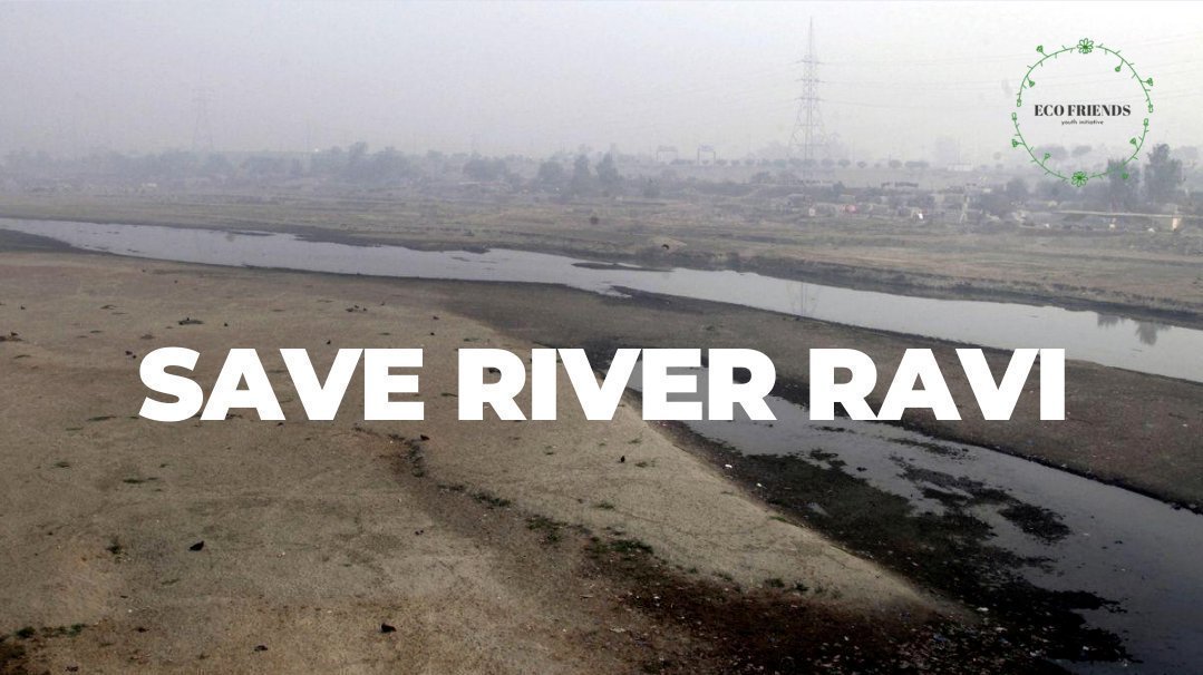 Petition · Stop Ravi Riverfront Development Project - Pakistan · Change.org