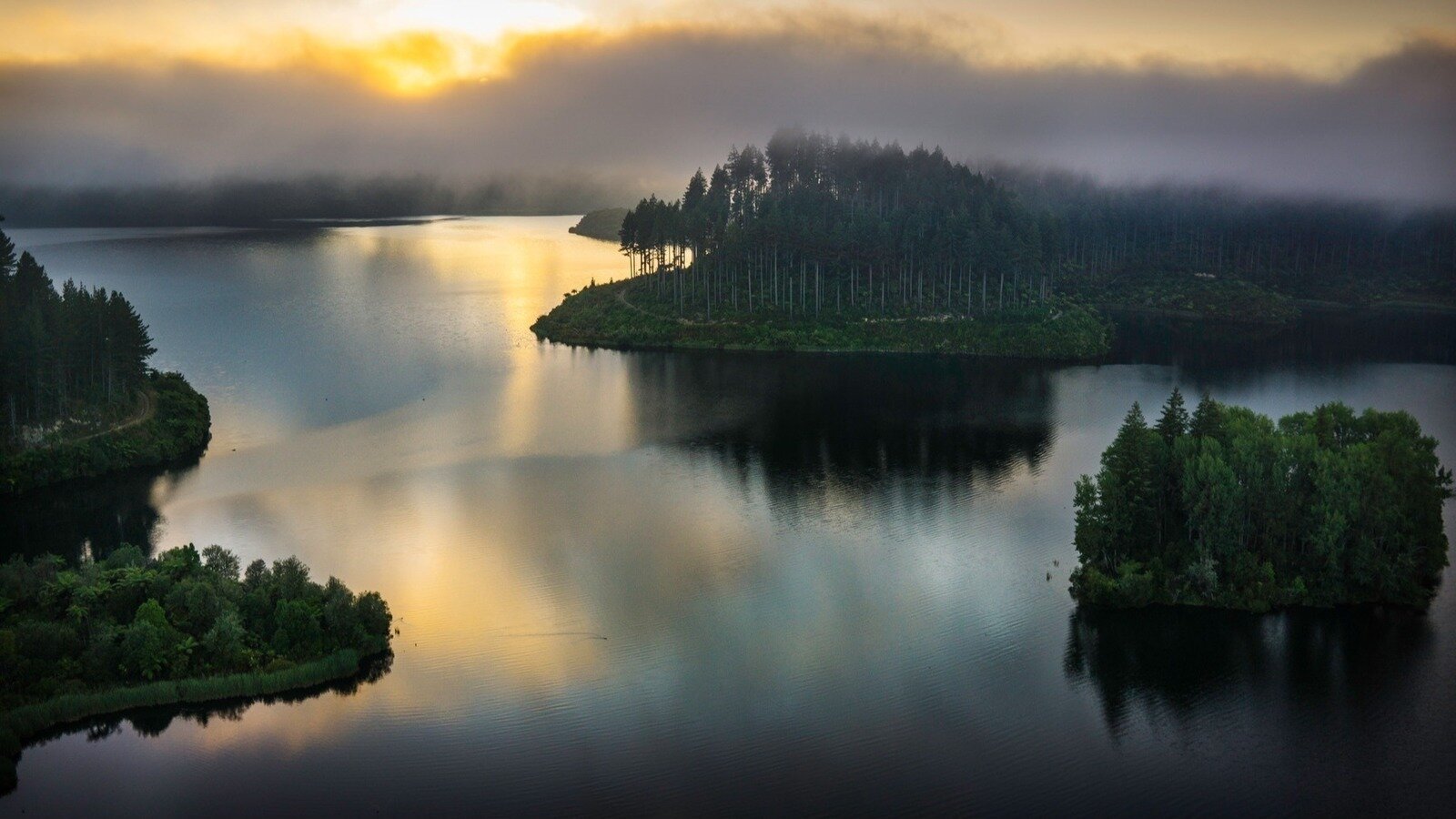 Petition · Immediate removal of the Rotokakahi pipeline!! Protect Maori ...