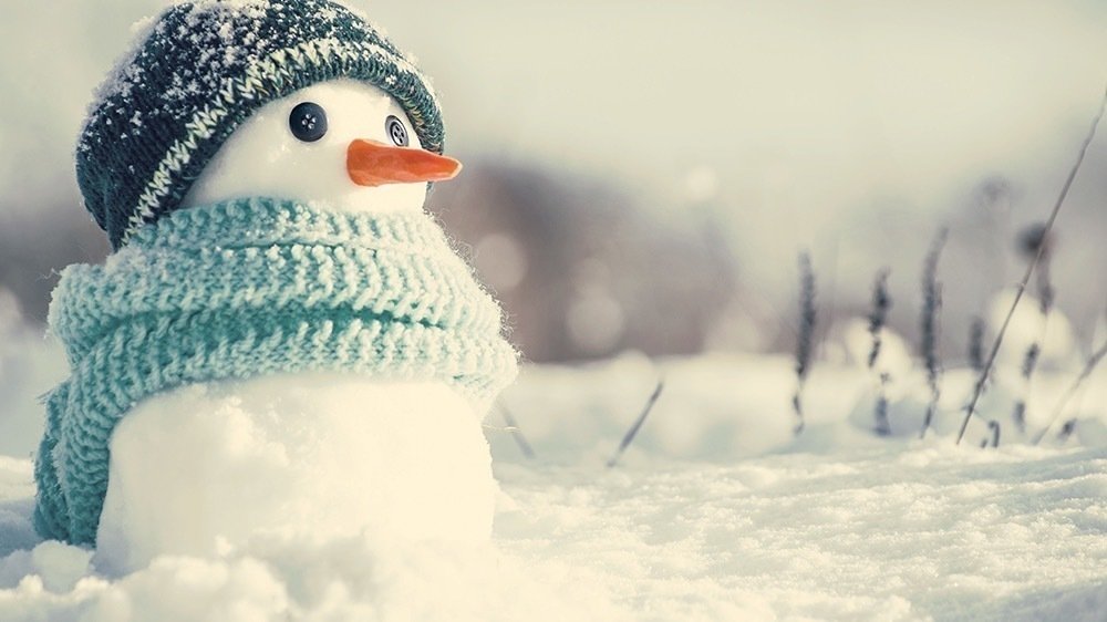 Petition · Let’s make snow days actually a snow day · Change.org