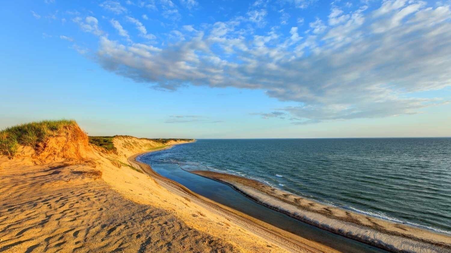 Petition · Improve water quality in Cape Cod - United States · Change.org