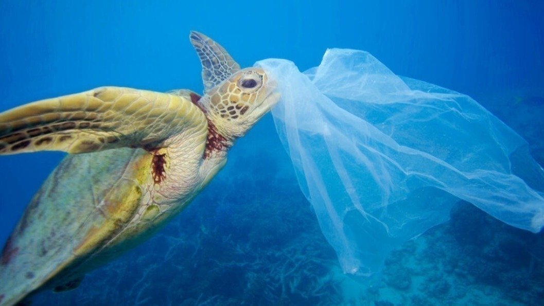 Petition · Keep Our Sea Plastic Free - India · Change.org