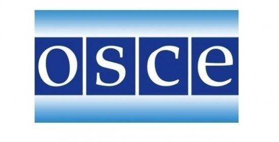 Petition · Approach the OSCE and request an election monitoring mission ...