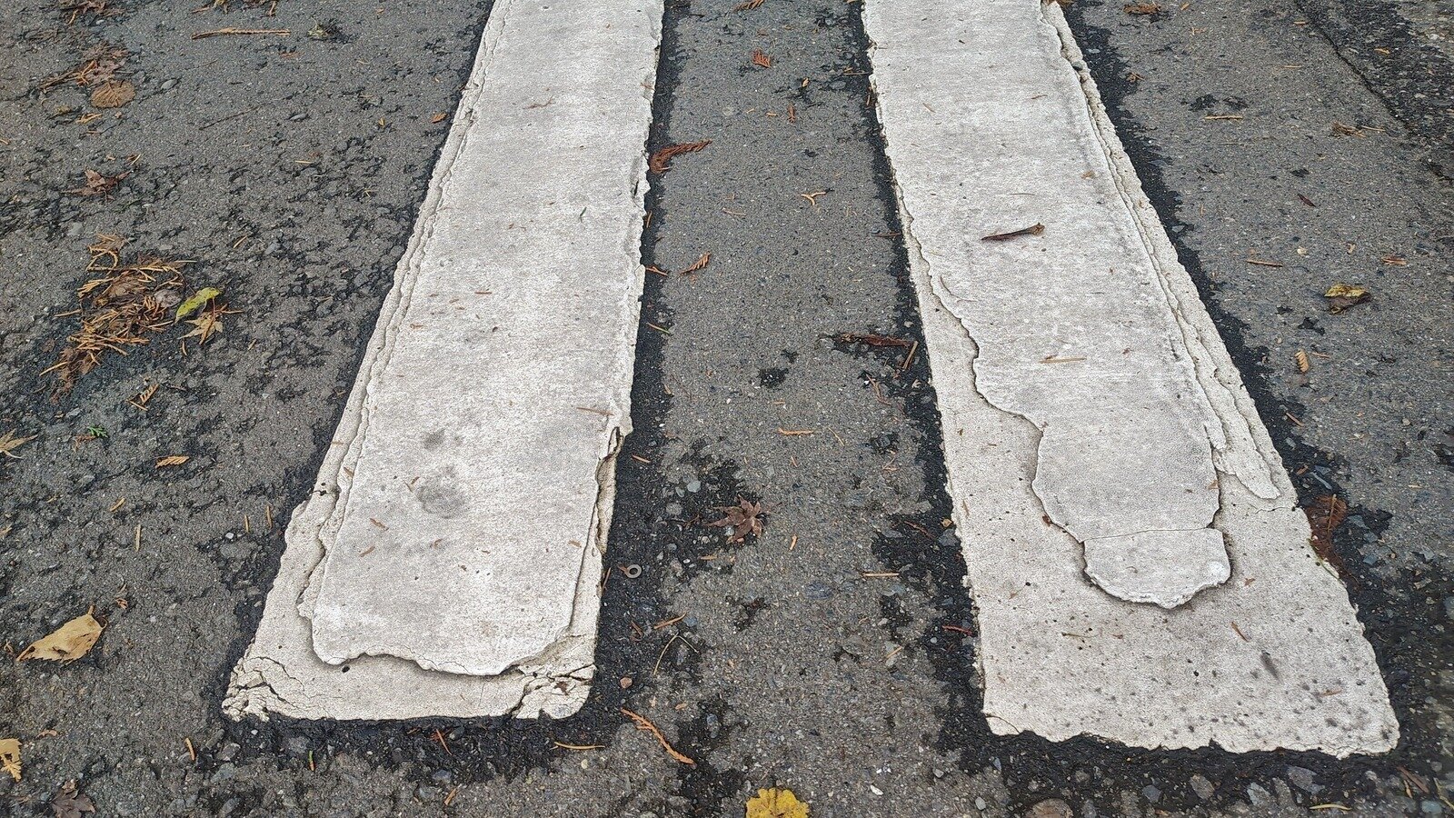 Petition · Repaint the Burke-Gilman Trail Intersections with up to date ...