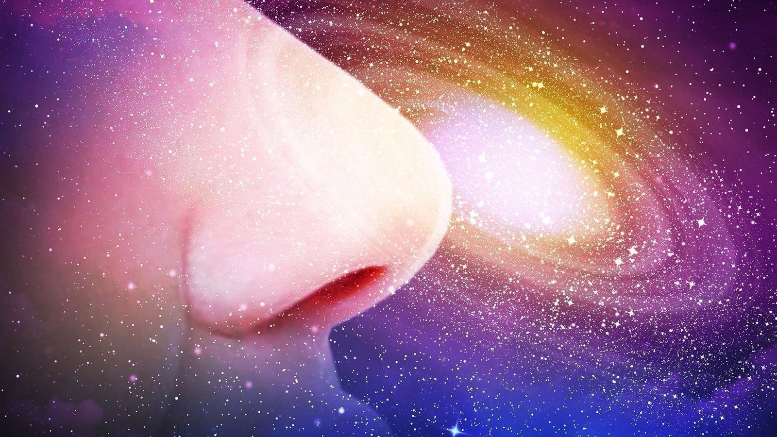 Petition · Petition to Rename the Big Bang to the Great Sneeze - United ...