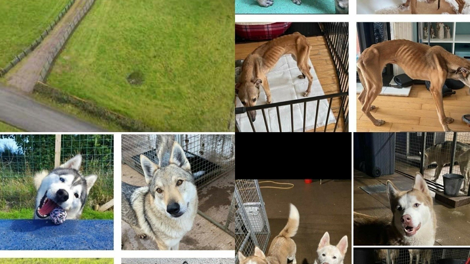 Petition · Approve Planning Application for Tyrone Husky Rescue ...