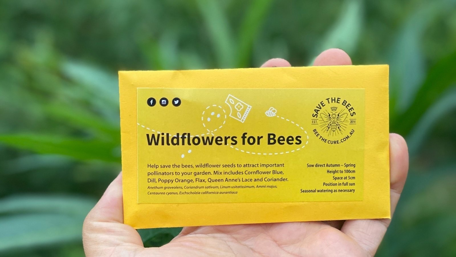 Petition update · Seeds for bees update · Change.org · Change.org