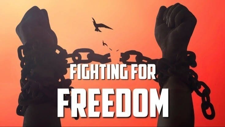Petition · The Fight for Freedom: How Human Hights Become a Global ...