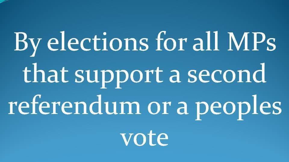 Petition · MPs who vote for a 2nd referendum must face by elections ...