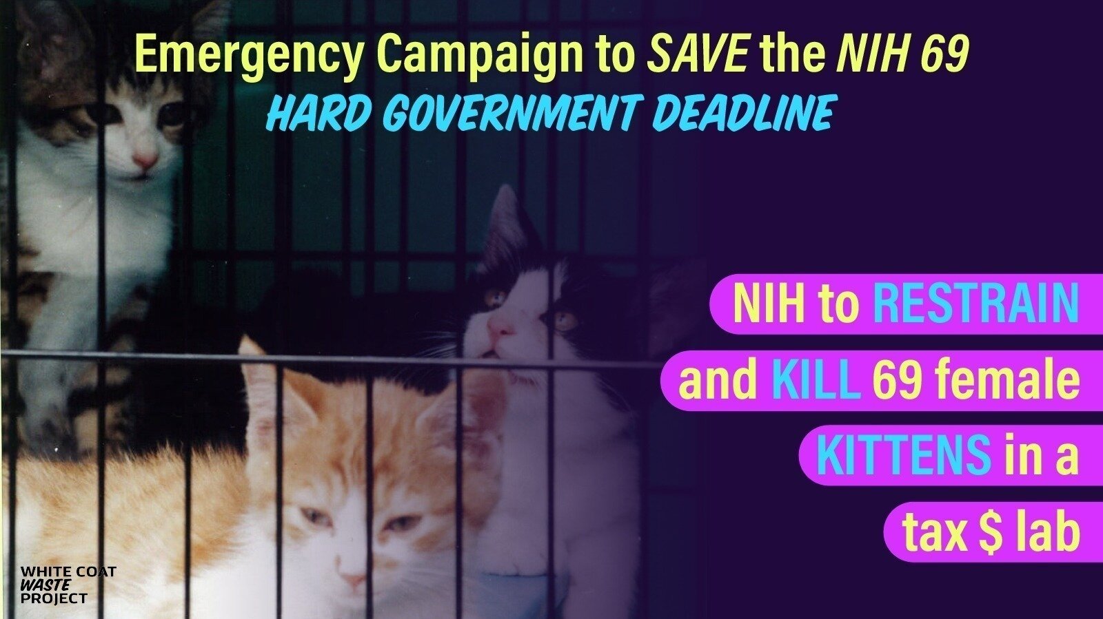 Petition update · A complete waste of taxpayer money and innocent lives ...